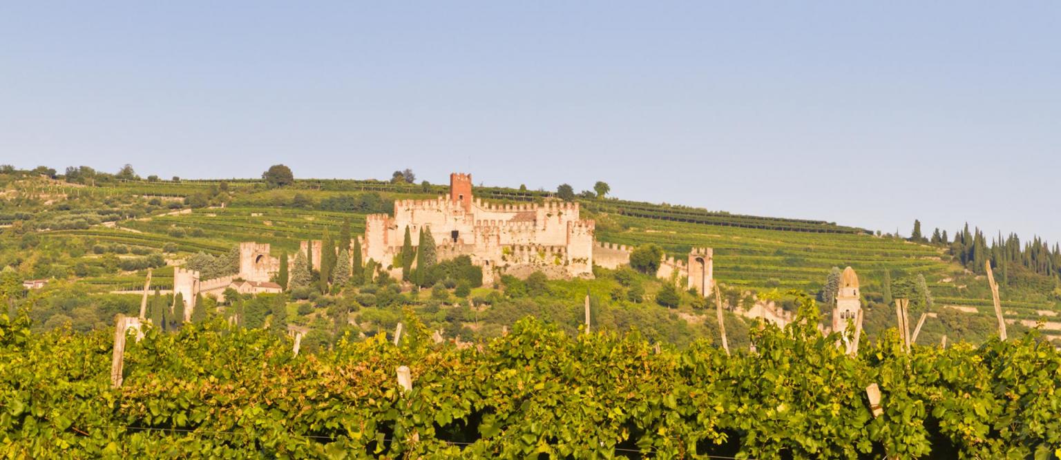 5 CASTELOS COM VINÍCOLAS QUE VOCÊ DEVE CONHECER - Vinho & ETC